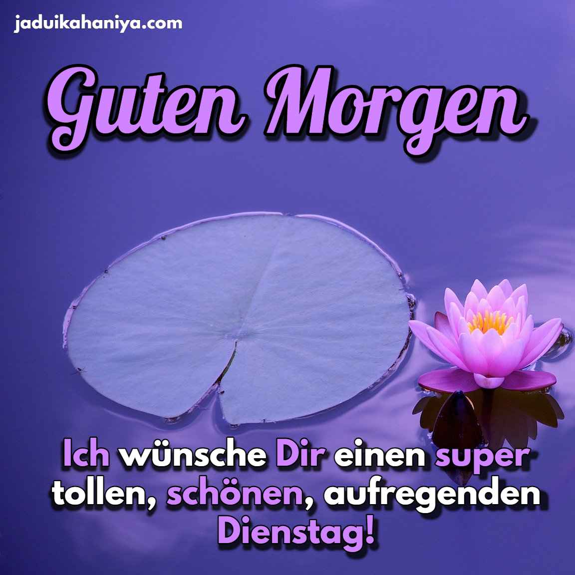Wunderbar Dienstags Guten Morgen Grsse Ebenbild